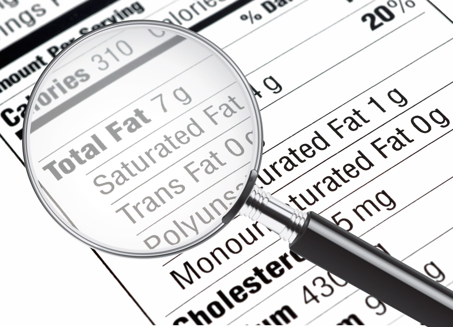 Eat Fat, Burn Fat? The Science (and Myths) of Dietary Fat and Weight ...